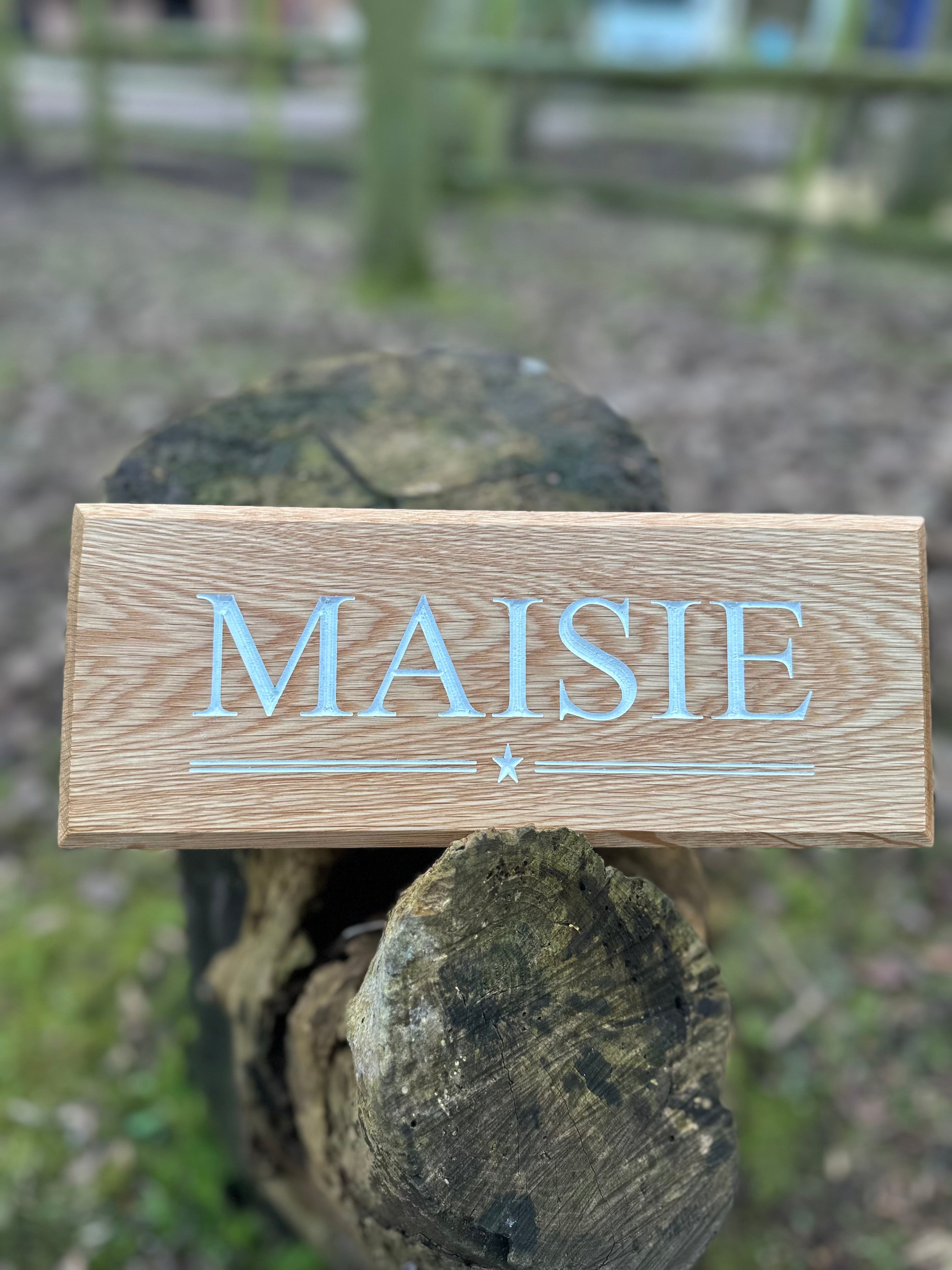 Gallery – Elite Stable Signs